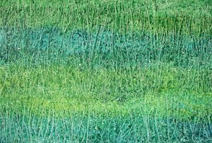 Joseph Nader - Paintings & Prints