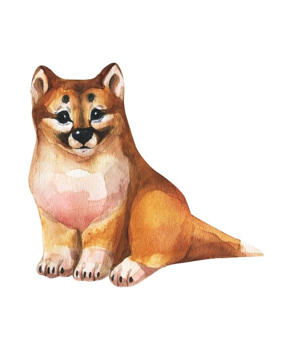Cute Watercolor Dingo Dog - Paintcorner - Paintings & Prints, Animals ...