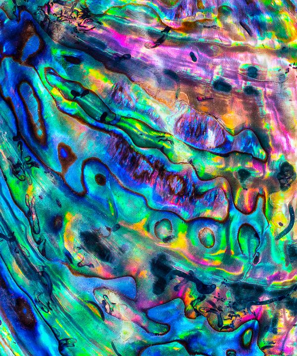 Abstract Paua Abalone Shell Texture - ZylixZen - Paintings & Prints ...