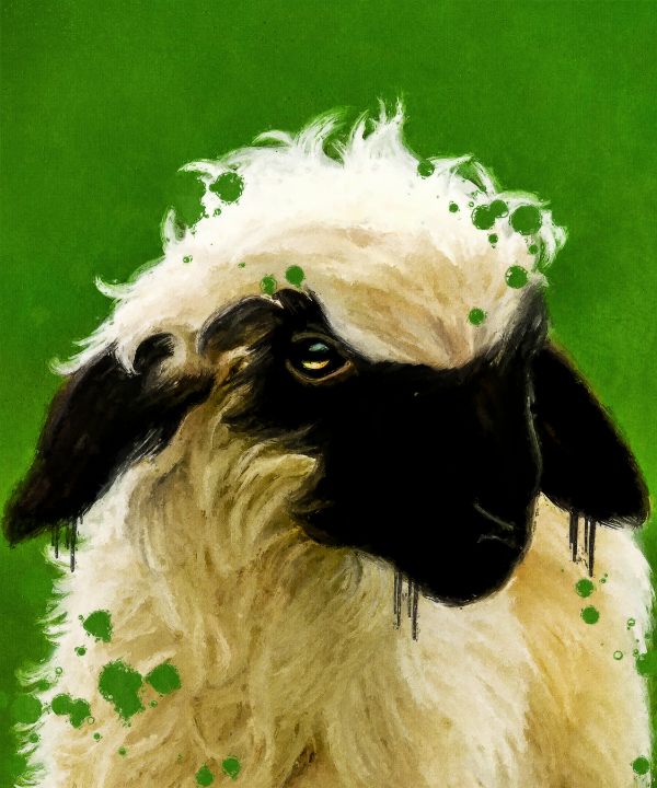 Swiss Valais Blacknose Sheep - Paintcorner - Paintings & Prints ...