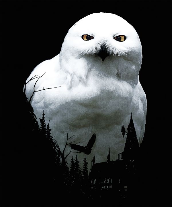 Snowy Arctic Magic Polar Harry Owl - Paintcorner - Paintings & Prints ...