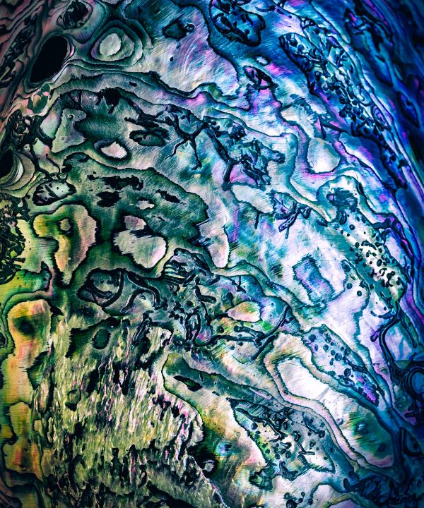Abstract Paua Abalone Shell Texture - Paintcorner - Digital Art & AI ...