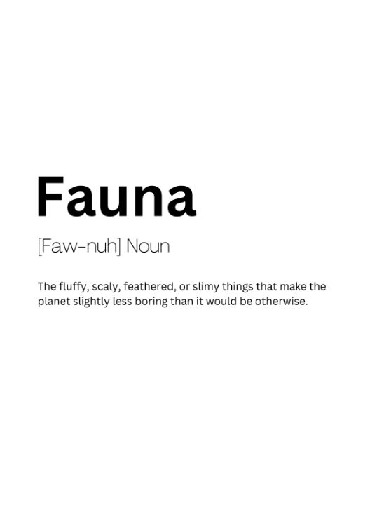 Fauna Dictionary Definition - Kaigozen2 - Digital Art & AI, Humor ...