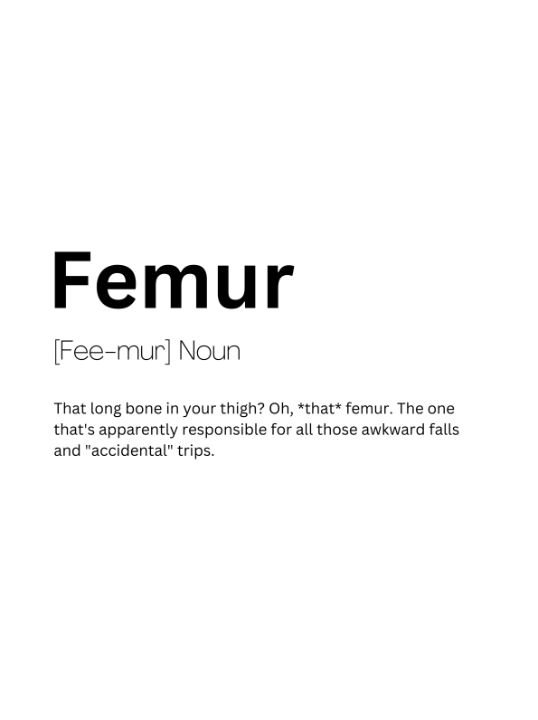 Femur Dictionary Definition - Kaigozen2 - Digital Art & AI, Humor ...