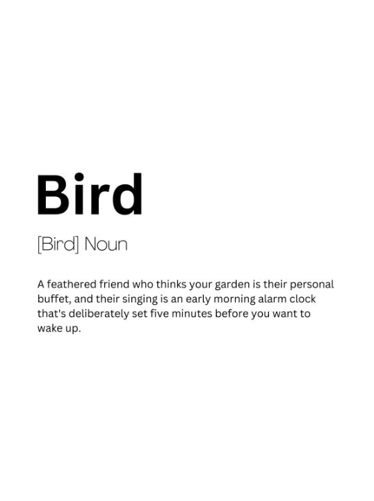 Bird Dictionary Definition - Kaigozen2 - Digital Art & AI, Humor ...