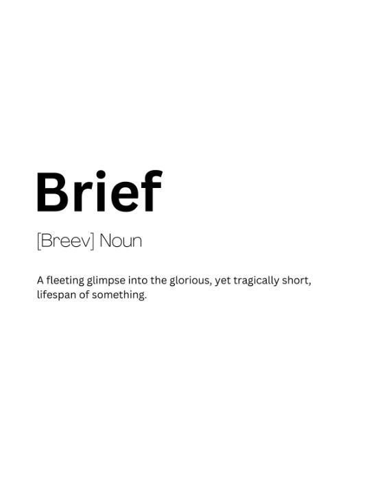 Brief Dictionary Definition - Kaigozen2 - Digital Art & AI, Humor ...