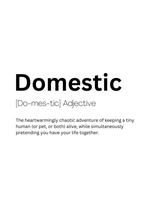 Domestic Dictionary Definition - Kaigozen2 - Digital Art & AI, Humor ...