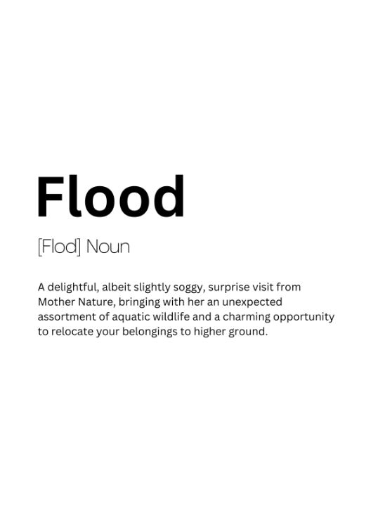 Flood Dictionary Definition - Kaigozen2 - Digital Art & AI, Humor ...