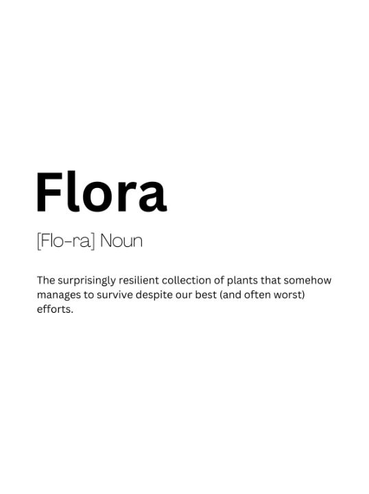 Flora Dictionary Definition - Kaigozen2 - Digital Art & AI, Humor ...