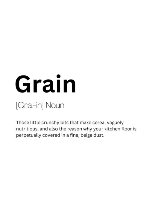 Grain Dictionary Definition - Kaigozen2 - Digital Art & AI, Humor ...