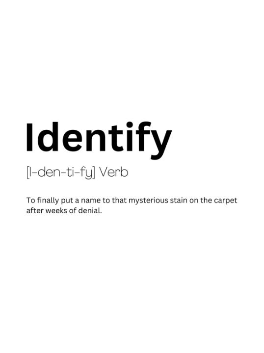Identify Dictionary Definition - Kaigozen2 - Digital Art & AI, Humor ...