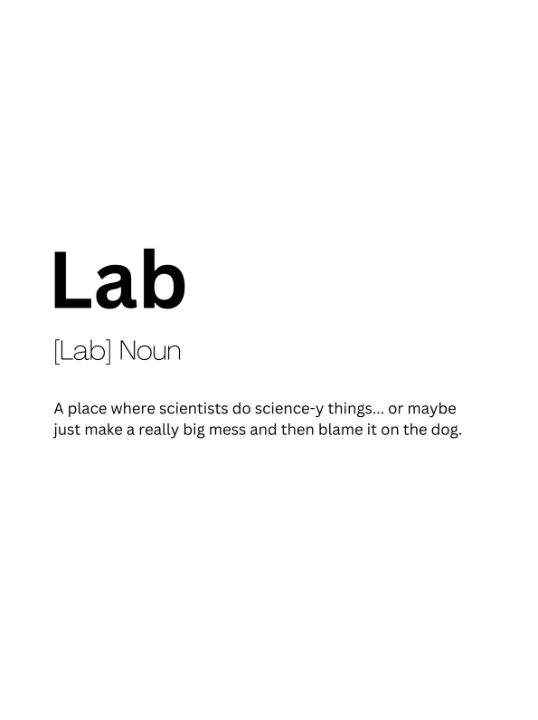 Lab Dictionary Definition - Kaigozen2 - Digital Art & AI, Humor ...