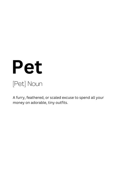 Pet Dictionary Definition - Kaigozen2 - Digital Art & AI, Humor ...
