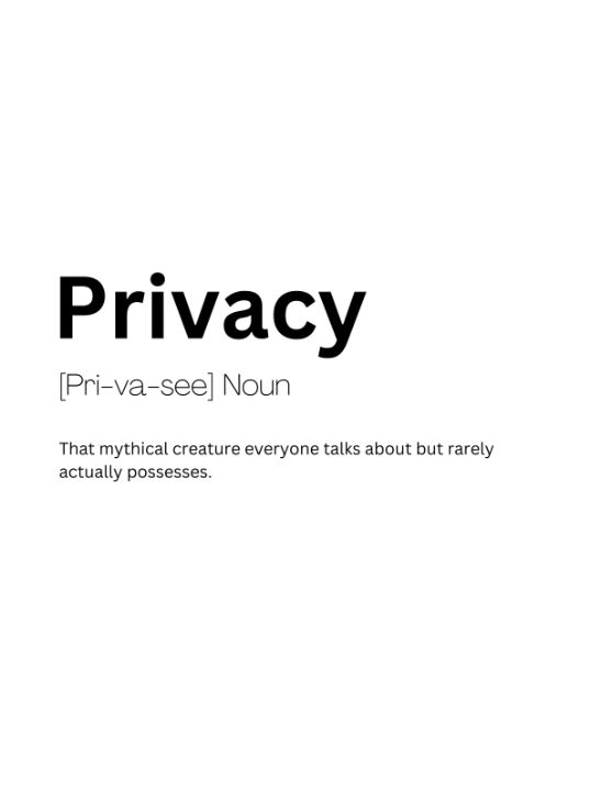 Privacy Dictionary Definition - Kaigozen2 - Digital Art & AI, Humor ...