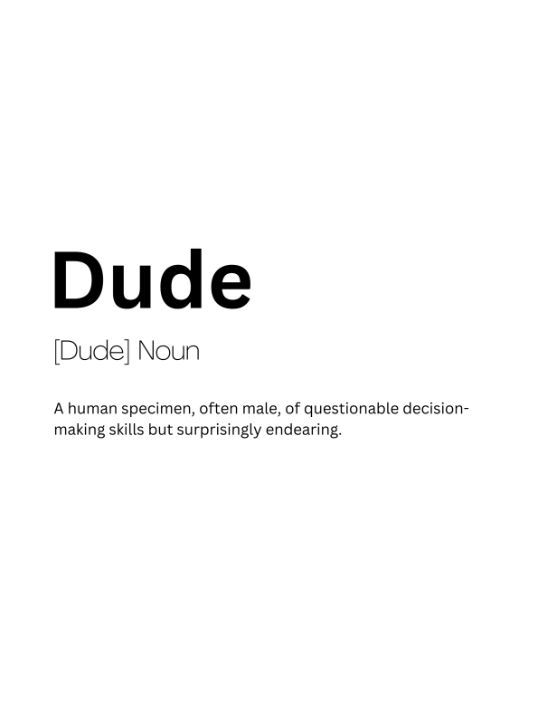 Dude Dictionary Definition - Kaigozen2 - Digital Art & AI, Humor ...