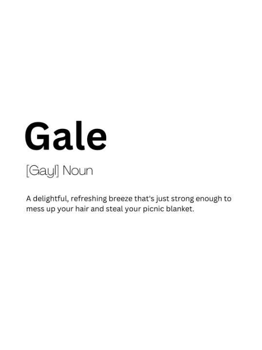 Gale Dictionary Definition - Kaigozen2 - Digital Art & AI, Humor ...