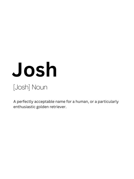 Josh Dictionary Definition - Kaigozen2 - Digital Art & AI, Humor ...