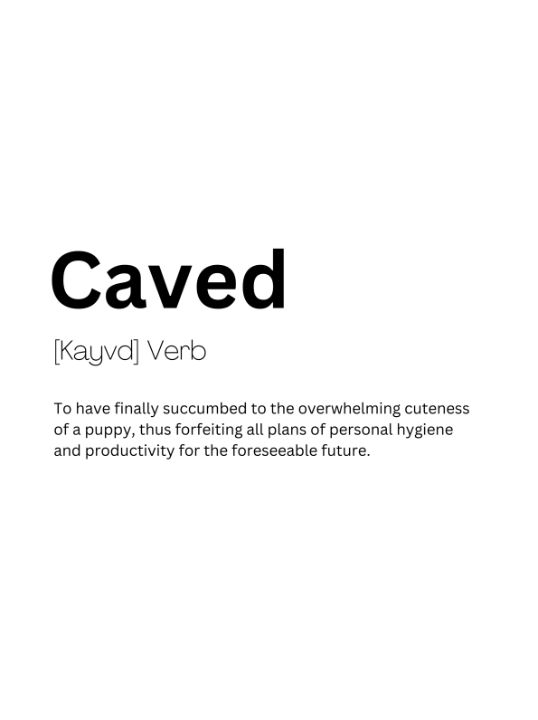 Caved Dictionary Definition - Kaigozen2 - Digital Art & AI, Humor ...