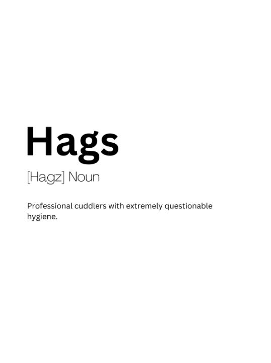 Hags Dictionary Definition - Kaigozen2 - Digital Art & AI, Humor ...