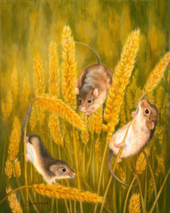 Eurasian Harvest Mice - LDWildlifeart - Paintings & Prints, Animals ...