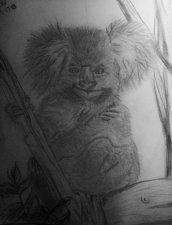 Koala - Color my world art - Drawings & Illustration, Animals, Birds ...