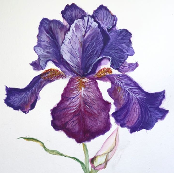 Ella Davis - Paintings & Prints