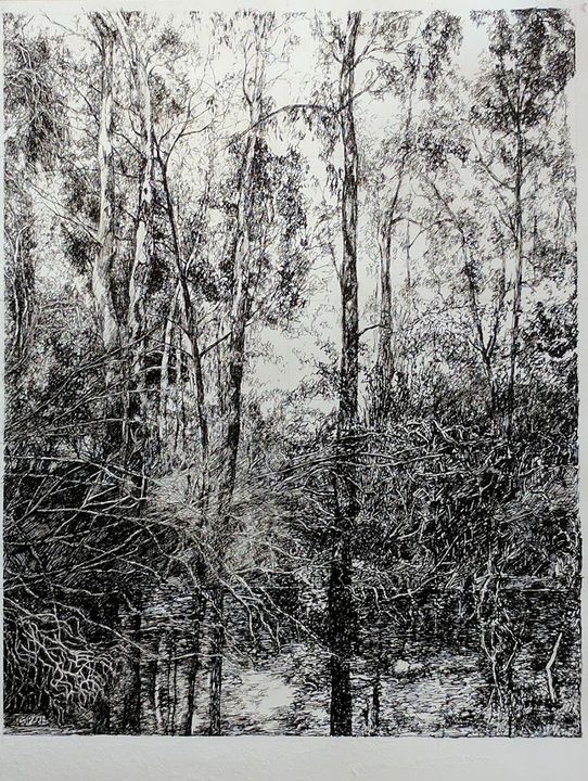 Australian Bush Scene - Colin Peel - Drawings & Illustration ...