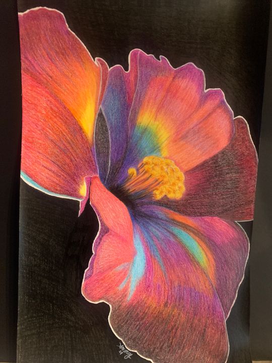 Crayon Art - Drawings & Illustration