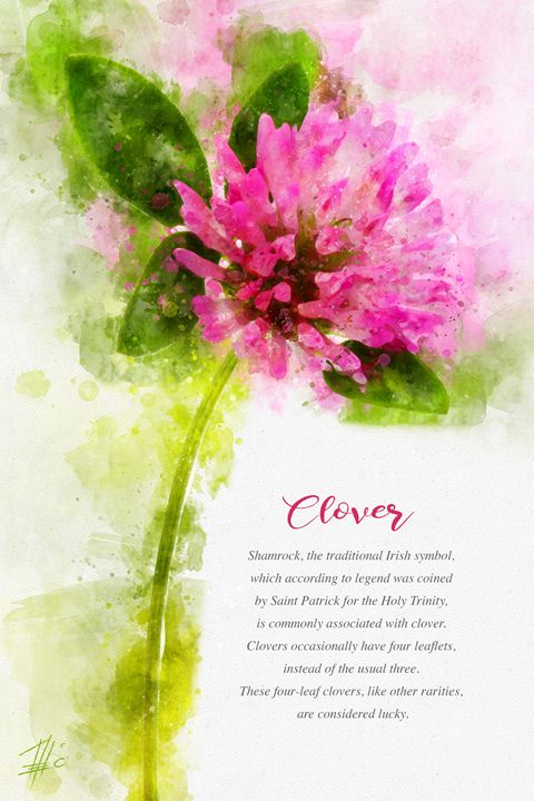 Clover - Theodor Decker - Paintings & Prints, Flowers, Plants, & Trees ...