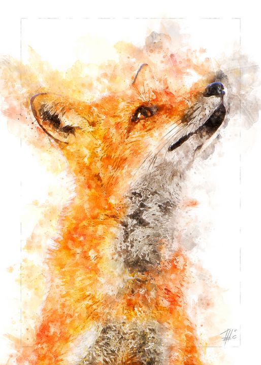 Fox - Theodor Decker - Paintings & Prints, Animals, Birds, & Fish, Fox ...