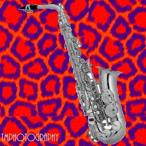Leopard Sax - TMphotographyBaltimore - Photography, Still Life, Other ...