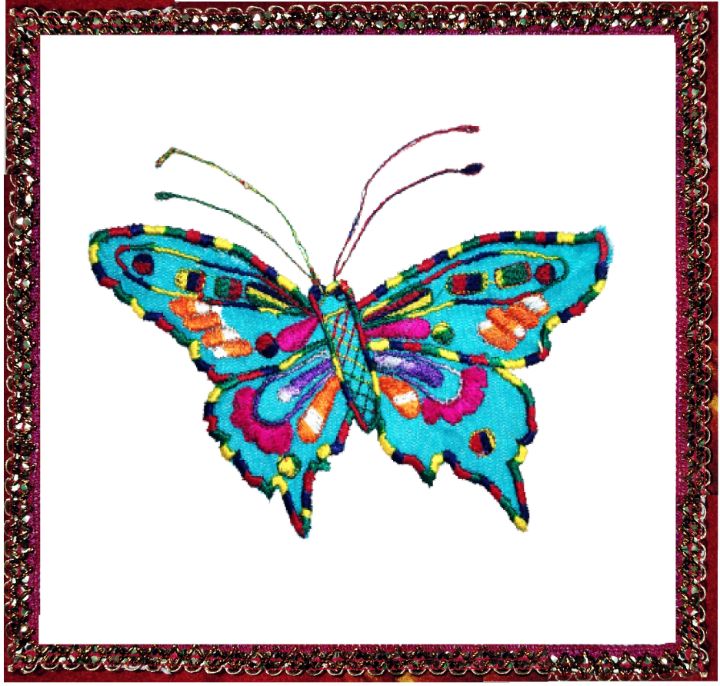 BUTTERFLY - KISHORE BISHOI - Photography, Ethnic, Cultural, & Tribal ...