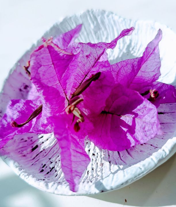 Flower, ceramic art composition - Simplicity - Photography, Flowers ...