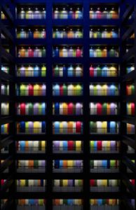 Neil Dankoff - Photography