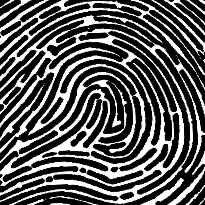 Fingerprint Lines in B&W - DigitaPics - Drawings & Illustration ...