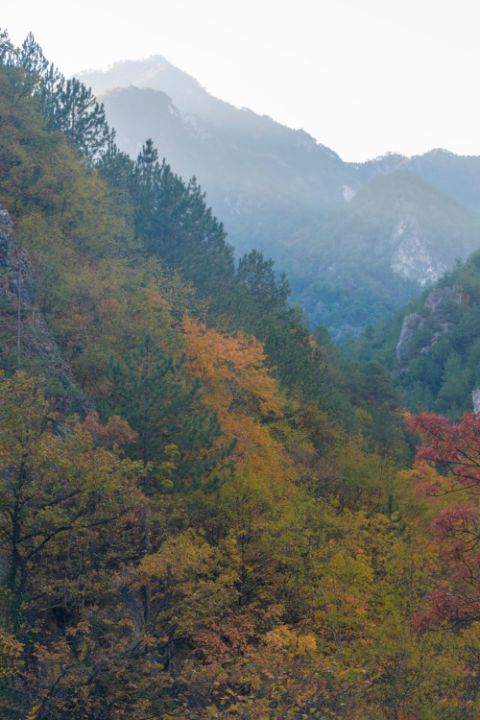 Dimitris Vasilakis Photography - Photography