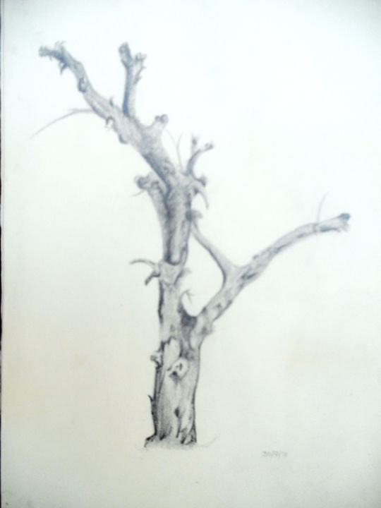 The Lifeless tree - Gagan's Art - Drawings & Illustration, Flowers ...