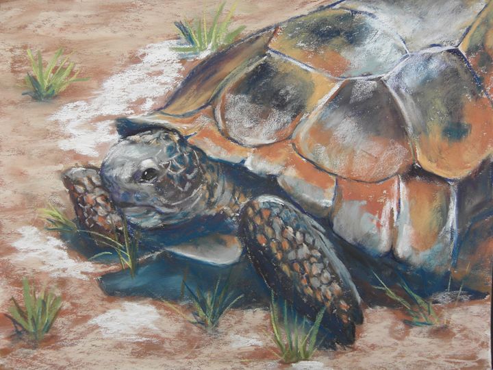 Old Man Gopher Turtle - Cathy E Geib Art - Paintings & Prints, Animals ...