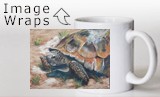 Old Man Gopher Turtle - Cathy E Geib Art - Paintings & Prints, Animals ...