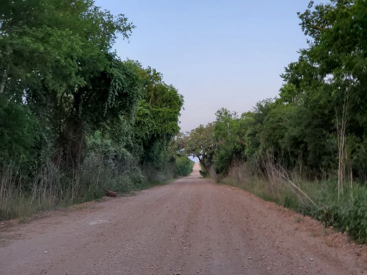 Texas Backroad - Texas Pi - Photography, Landscapes & Nature, Paths ...
