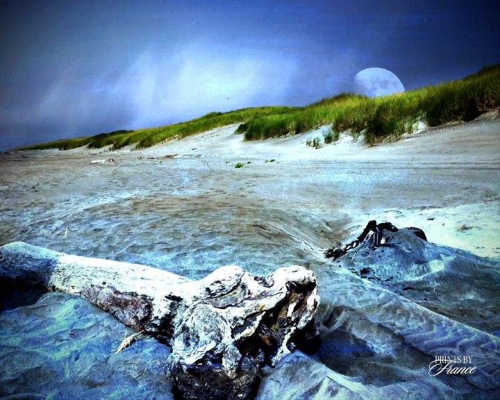 Moon Bath - Jason Ray France - Digital Art, Landscapes & Nature, Beach ...