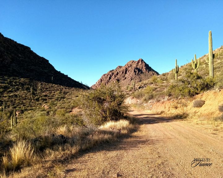 The Backlands - Jason Ray France - Photography, Landscapes & Nature ...