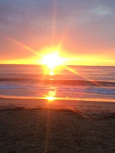 Photos by Dee - Photography