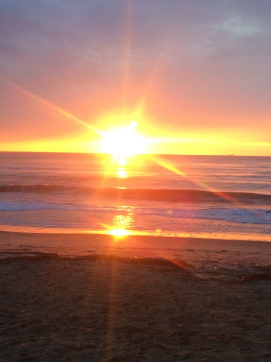 Photos by Dee - Photography