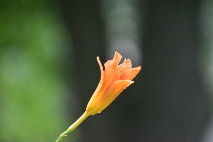 Photos by Dee - Photography