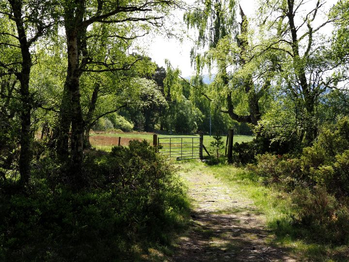 Scottish Highlands Spring - Catriona Roberts Photography and Designs ...
