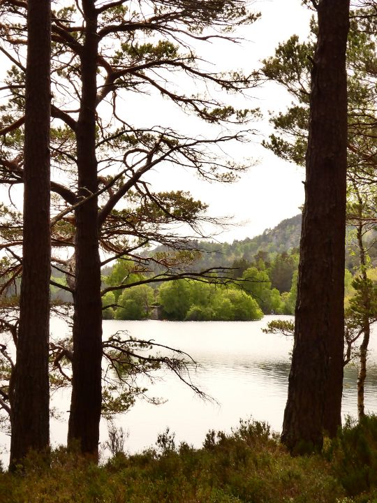 Scottish Highlands Loch Side View - Catriona Roberts Photography and ...