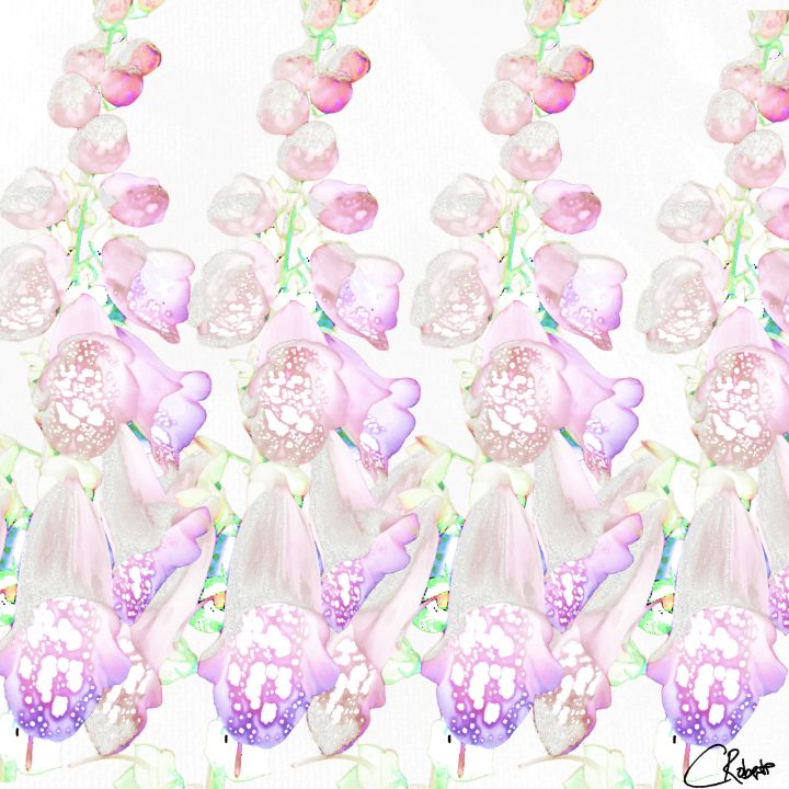 Abstract Foxglove Floral - Catriona Roberts Photography and Designs ...