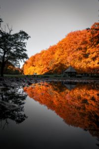 Open Horizons by Themis - Photography