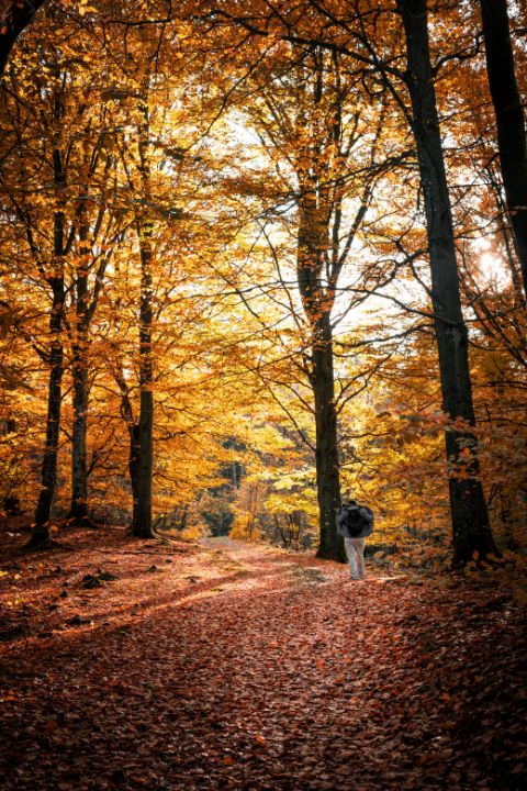 Open Horizons by Themis - Photography